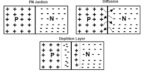 How diodes work: an introductory tutorial